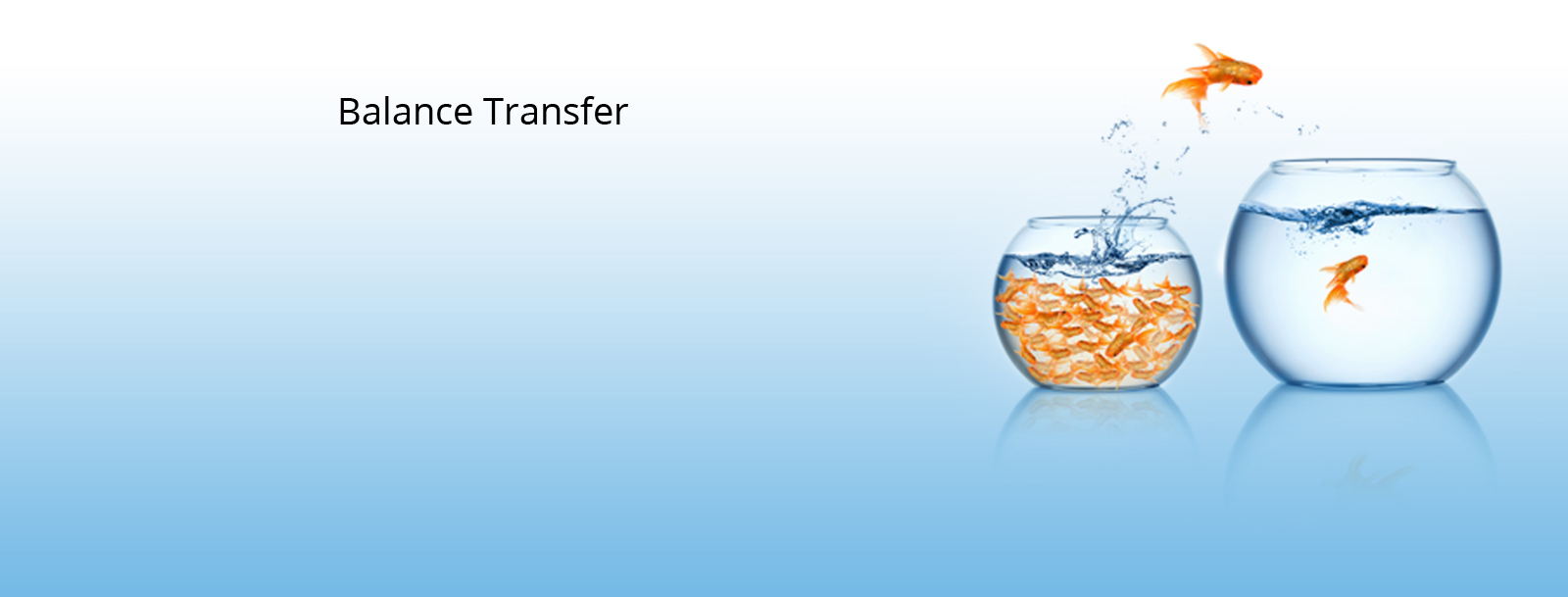 SBI Credit Card Offers